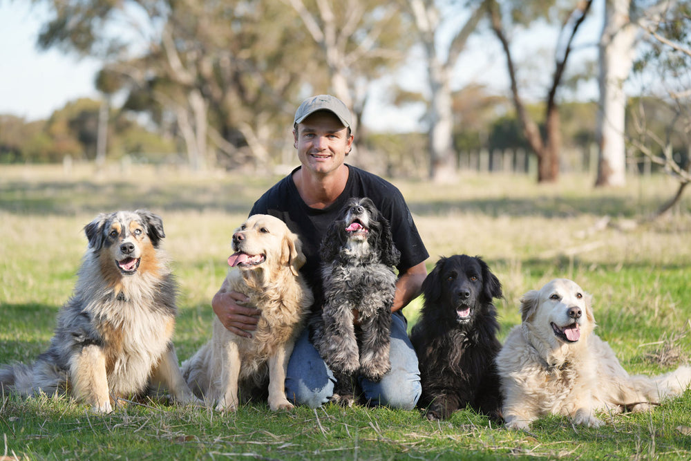 Meet The Pack | 5 Hounds by Dr Will