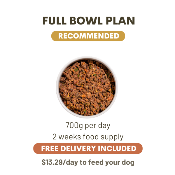 700 Grams Per Day – 5 Hounds