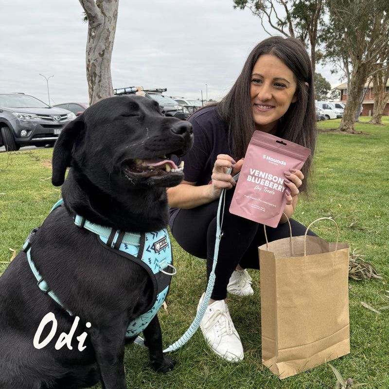 Book Dog Titre Testing Australia | 5 Hounds 2026 Roadshow