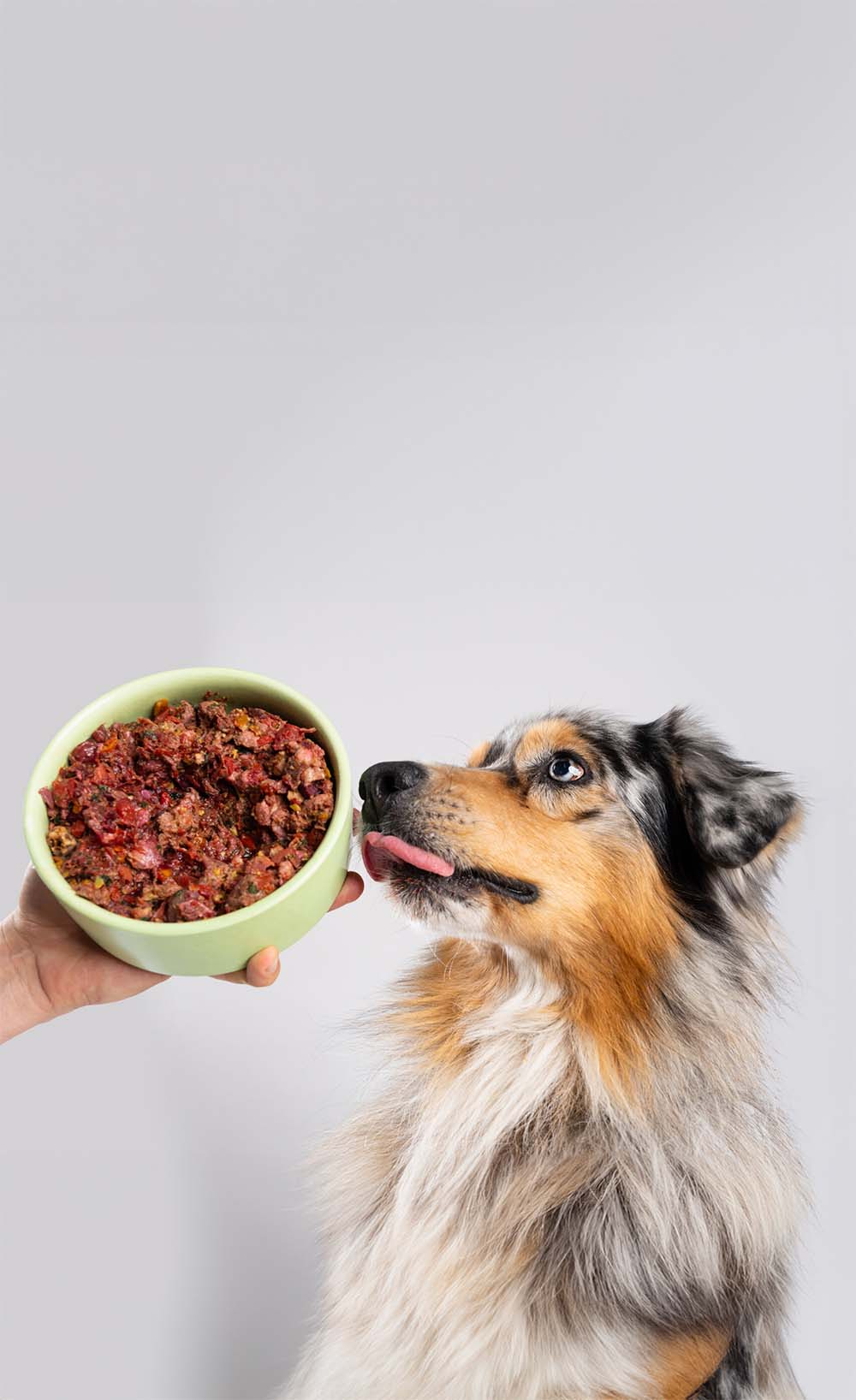 Fresh & Healthy Dog Food - Human Grade | 5 Hounds by Dr Will
