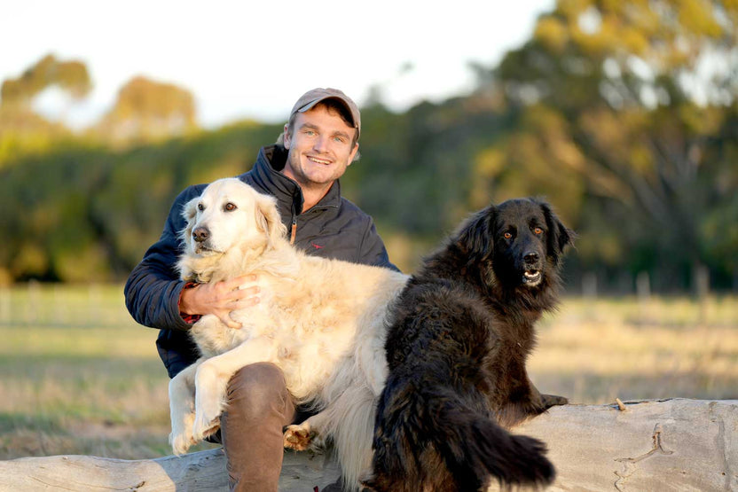 Fresh & Healthy Dog Food - Human Grade | 5 Hounds by Dr Will