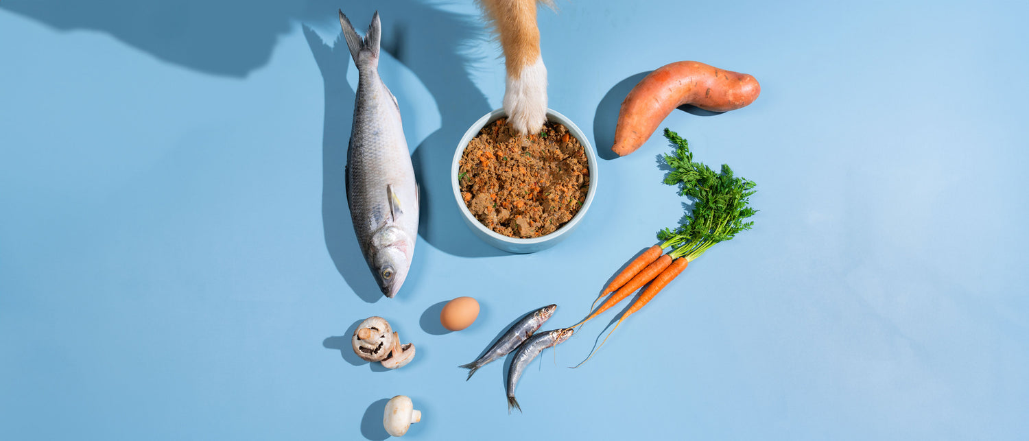 Fish Dog Food - Healthy & Omega-3 Rich | 5 Hounds by Dr Will
