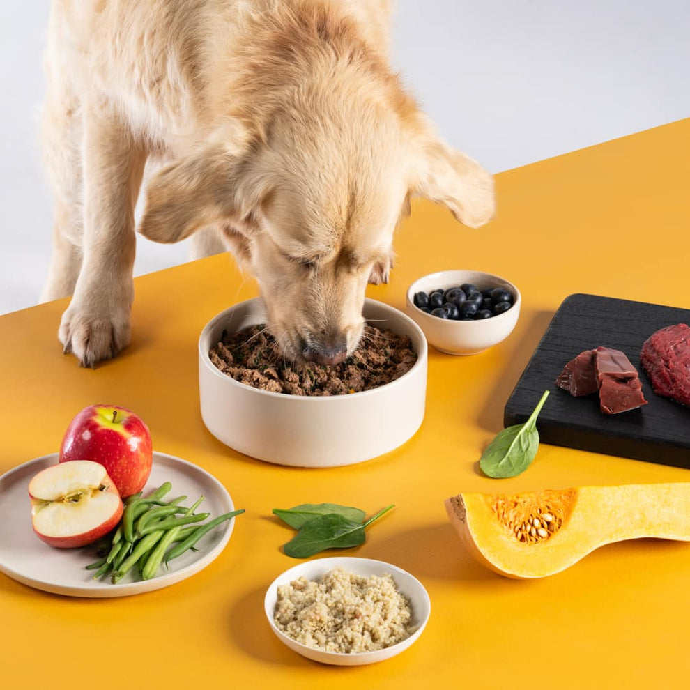 Fresh & Healthy Dog Food - Human Grade | 5 Hounds by Dr Will