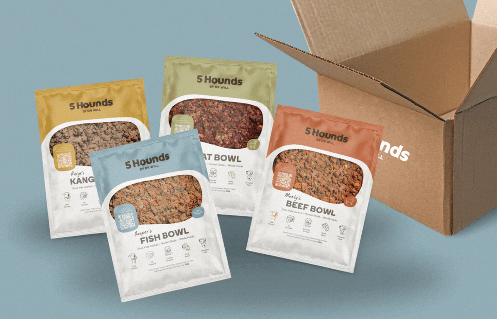 Healthy Dog Meal Plan for Sensitive Pups | 5 Hounds by Dr Will