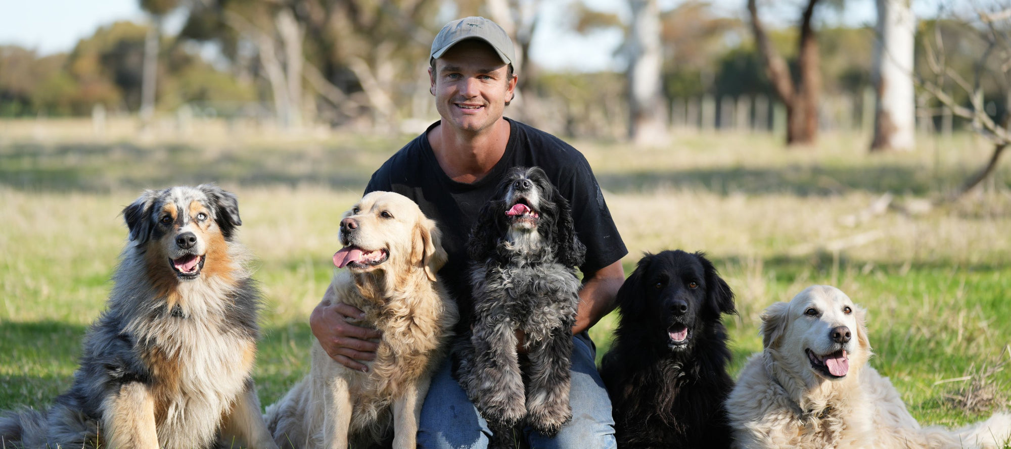 5 Hounds by Dr. Will