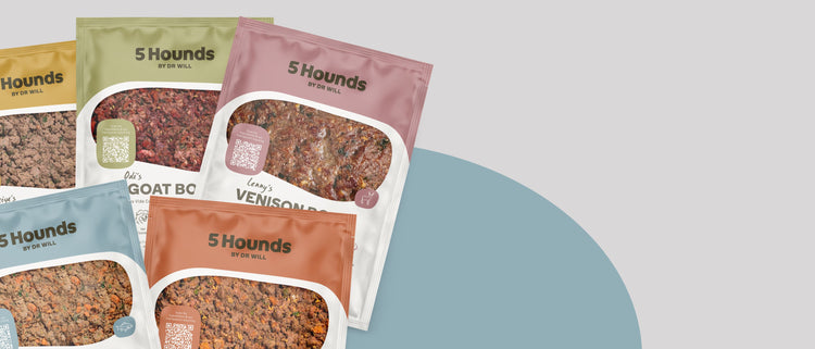 Healthy Dog Meal Plan for Sensitive Pups | 5 Hounds by Dr Will