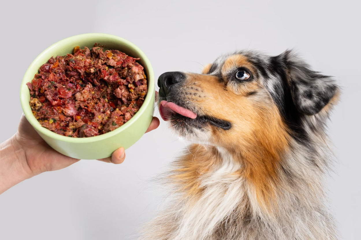 Fresh & Healthy Dog Food - Human Grade | 5 Hounds by Dr Will