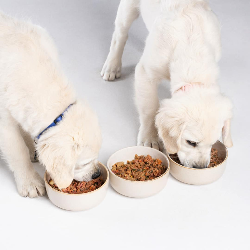 Fresh & Healthy Dog Food - Human Grade | 5 Hounds by Dr Will