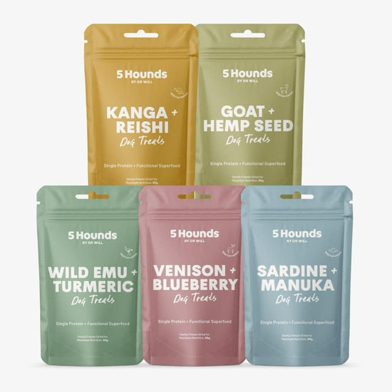 Fresh & Healthy Dog Food - Human Grade | 5 Hounds by Dr Will